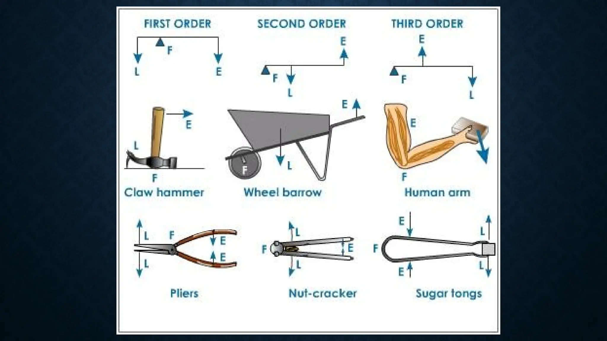 THE BIOMECHANICS & KINESIOLOGY OF THE LEVER.pptx
