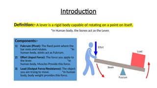 Lever in Human Body- Biomechanics, Physiotherapy | PPTX