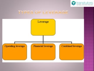 Leverage Ratios | Finance | PPTX