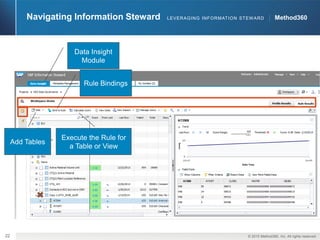 Leveraging Information Steward | PDF