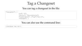 Liquibase - Open Source version control for your database | PDF