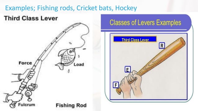 Lever and its types | PPT
