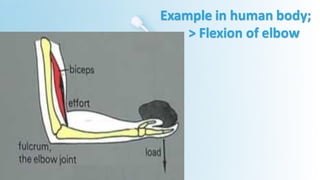 Lever and its types | PPT