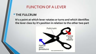 Lever and its types | PPTX