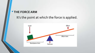 Lever and its types | PPTX