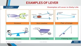 Real Life Lever Examples