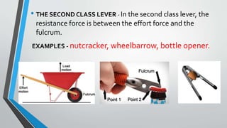 Second Class Lever Nutcracker