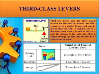 Lever and Its Types | PPTX