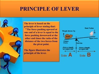 Lever and Its Types | PPTX