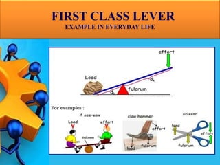 Lever and Its Types | PPTX