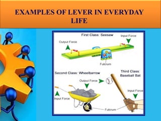 Lever Examples In Everyday Life