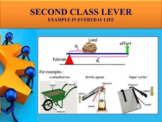 Lever Examples In Everyday Life
