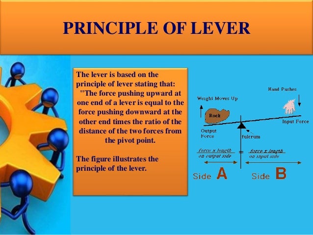 Lever and Its Types