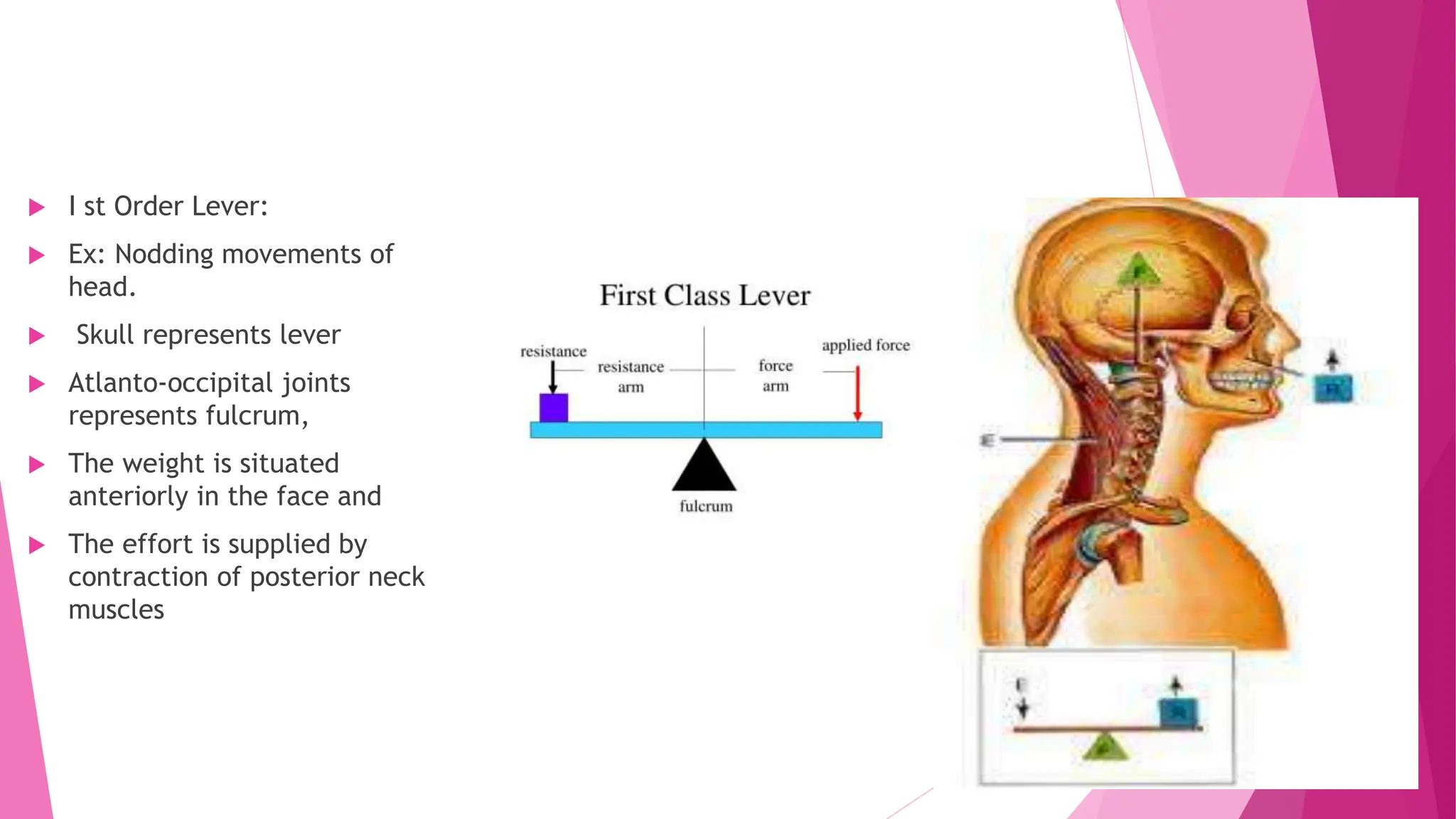 LEVER,PULLEY AND SPRING LEVER. ppt .pptx