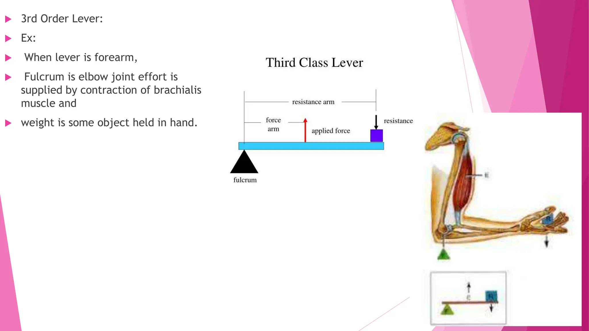 LEVER,PULLEY AND SPRING LEVER. ppt .pptx