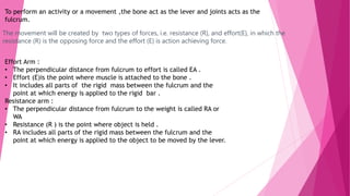 LEVER,PULLEY AND SPRING LEVER. ppt .pptx