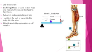 LEVER,PULLEY AND SPRING LEVER. ppt .pptx