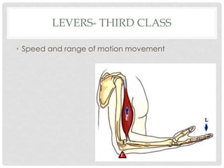 lever,pulleys.pdf