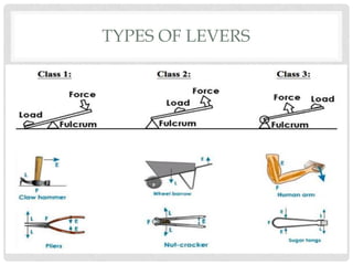 lever,pulleys.pdf