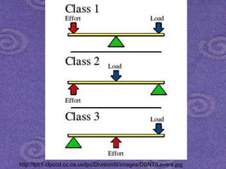 Levers | PPT