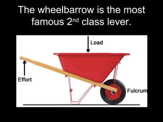 Second Class Lever Nutcracker