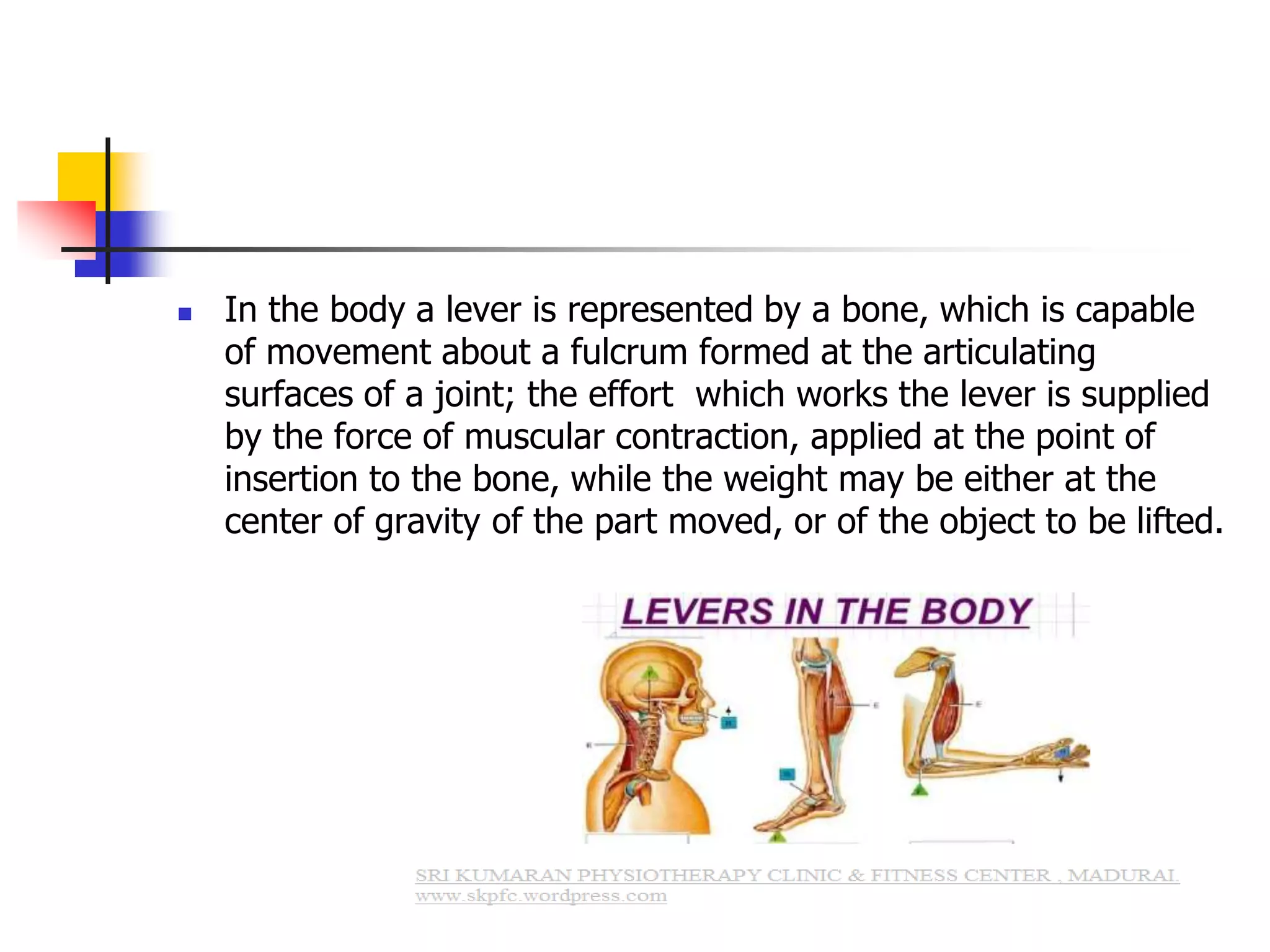 LEVERS & LEVERS OF THE BODY | PPT