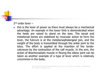 LEVERS & LEVERS OF THE BODY | PPT