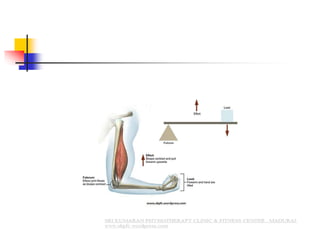 LEVERS & LEVERS OF THE BODY | PPT