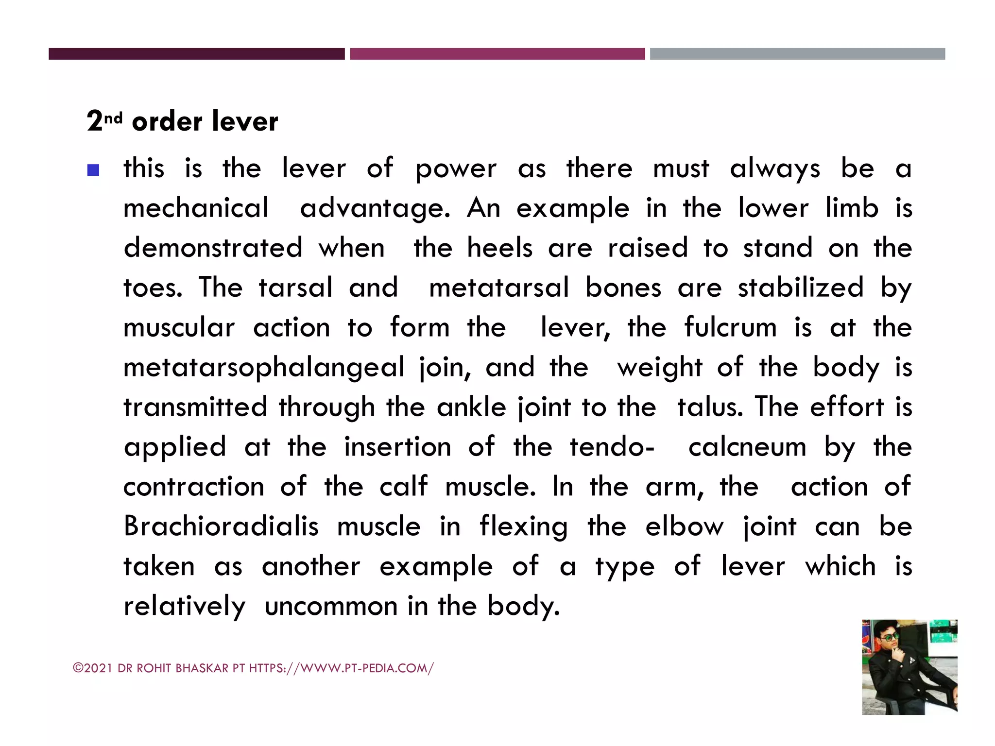 Levers in Human Body ( Physiotherapy ) - Dr Rohit Bhaskar | PDF