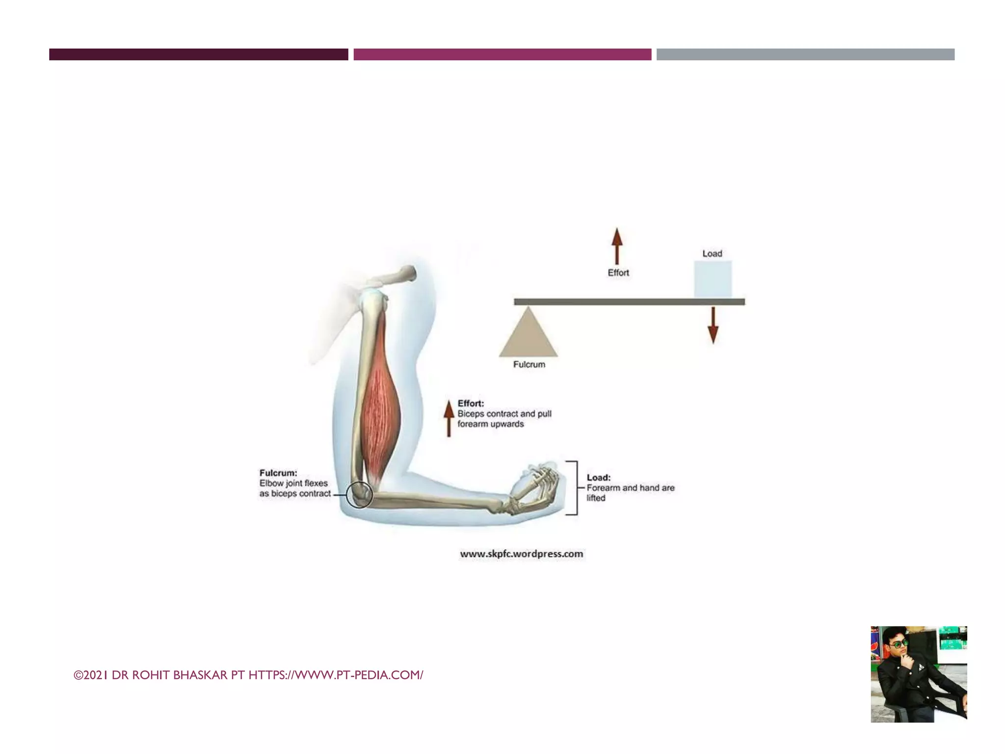 Levers in Human Body ( Physiotherapy ) - Dr Rohit Bhaskar | PDF