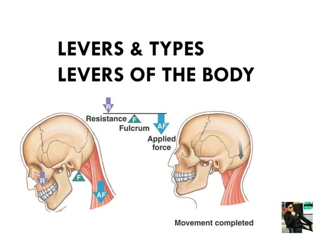 Levers in Human Body ( Physiotherapy ) - Dr Rohit Bhaskar | PDF