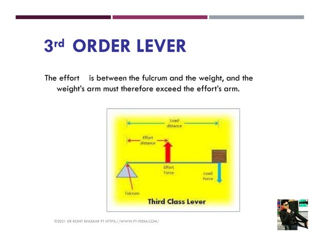 Levers in Human Body ( Physiotherapy ) - Dr Rohit Bhaskar | PDF
