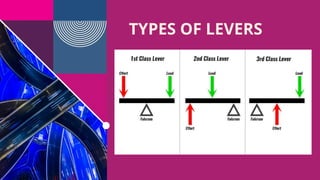 Learn about the three types of Levers.pptx