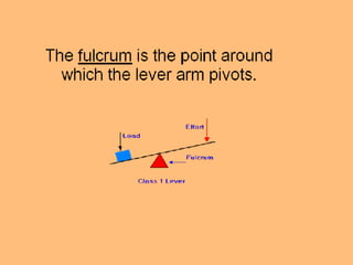 Levers Investigation 1 Ppt | PPT