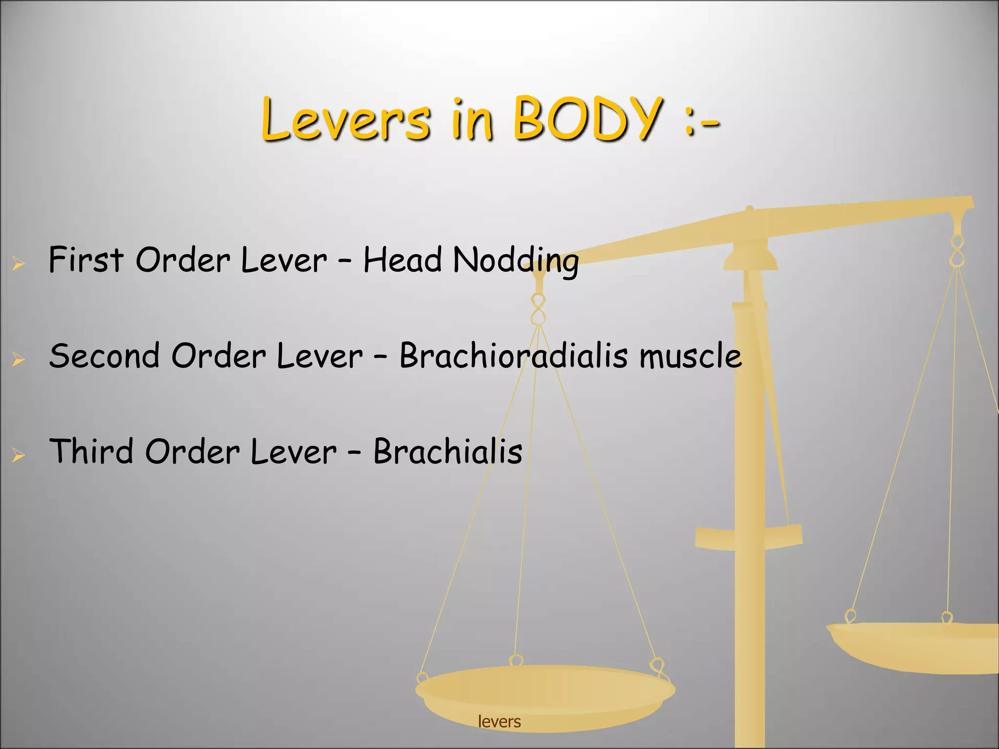 LEVERS 1.ppt