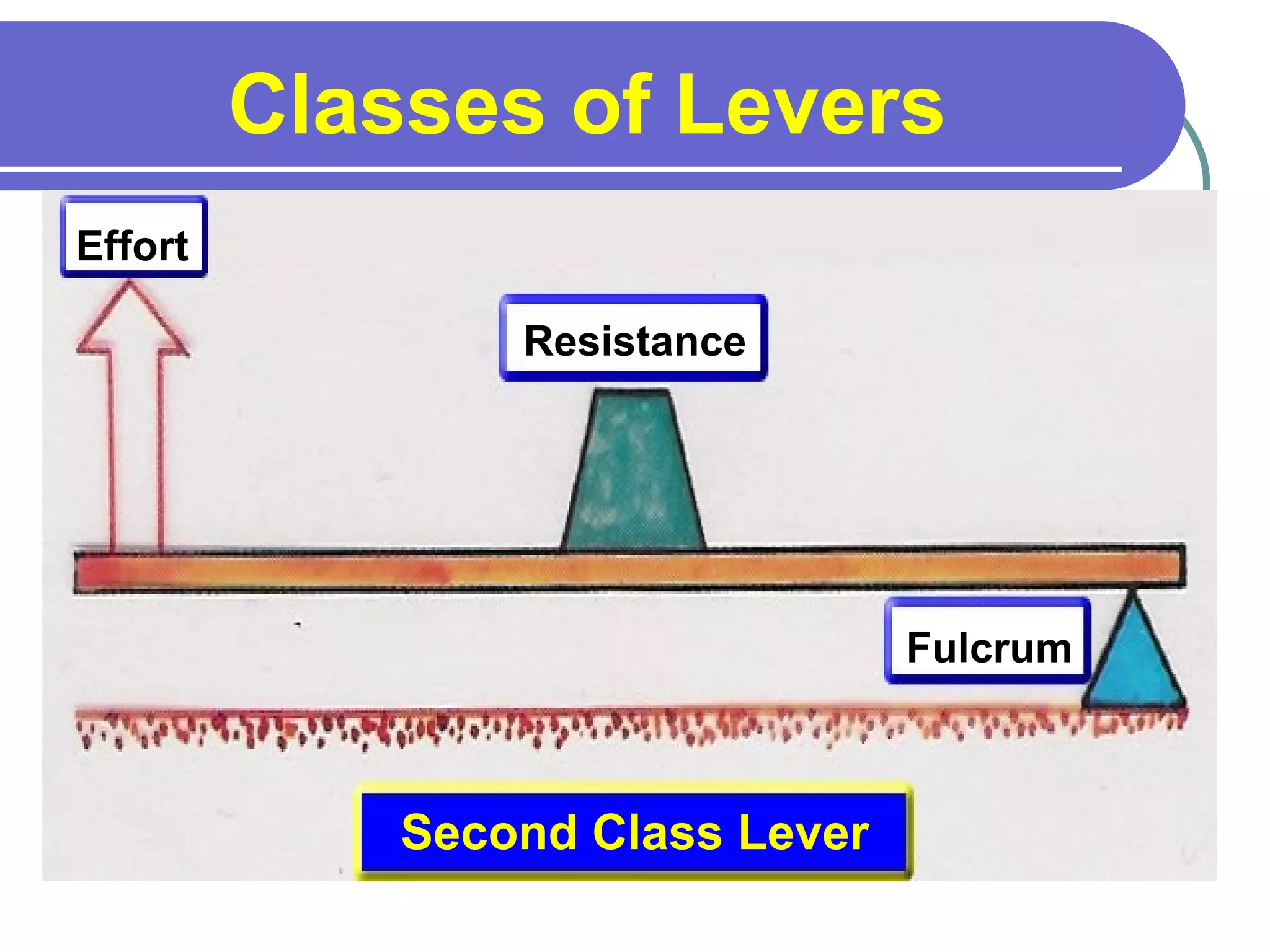 Levers | PPT