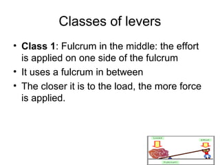 Levers and their classes | PPT