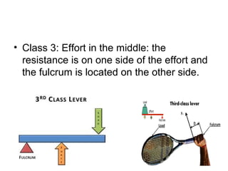 Levers and their classes | PPT