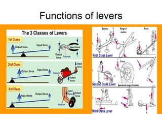 Levers and their classes | PPT