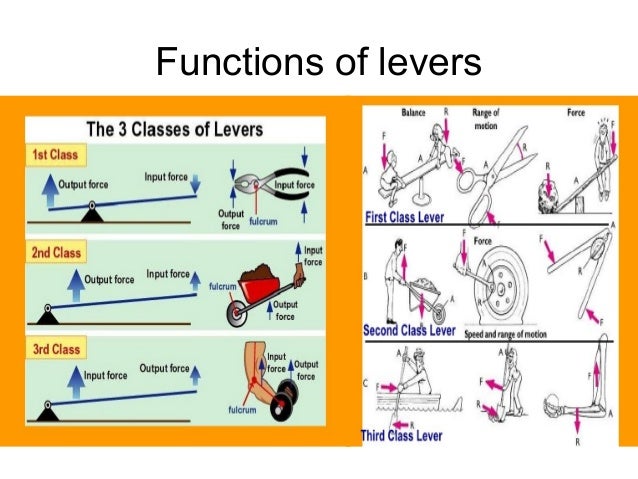 Levers and their classes