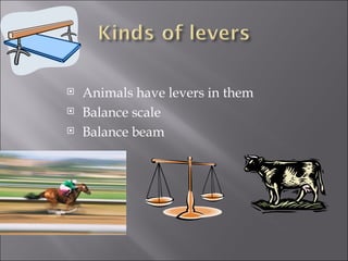 Levers carly | PPT