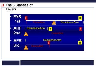 leversinhumanbody-170608101751.pptx | Physical Therapy | Wellness