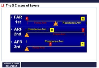 Levers in human body | PPTX