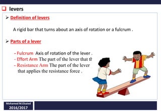 Levers in human body | PPTX