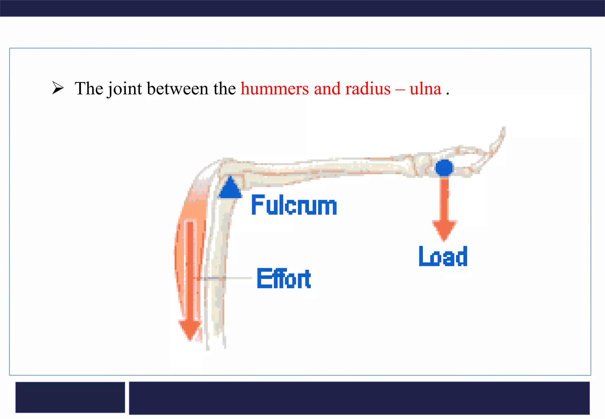use of lever in sports. | PPTX