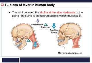 use of lever in sports. | PPTX