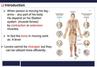 levers in human body.pptx