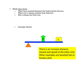 Third Class Lever Baseball Bat