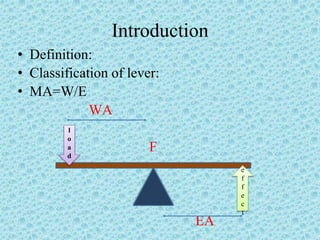 Lever Definition