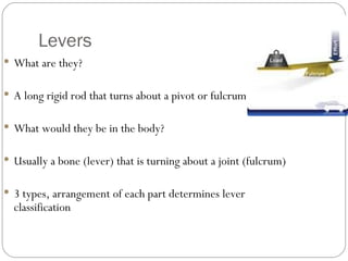 Levers, resistance and exercise | PPT